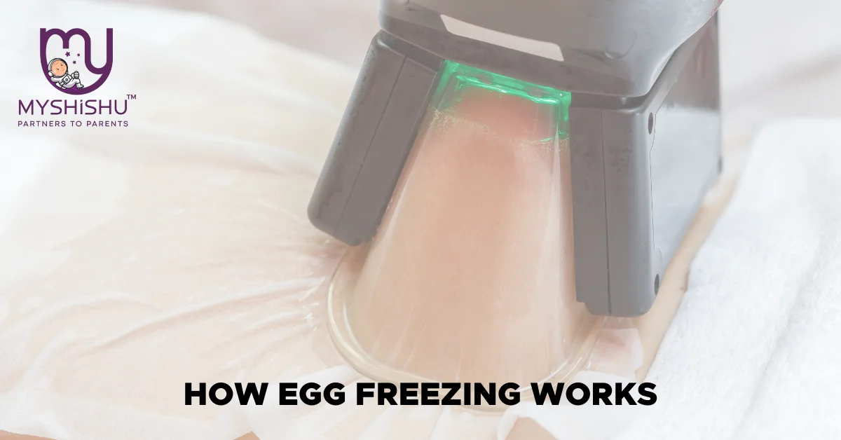 How egg freezing works - MyShishu