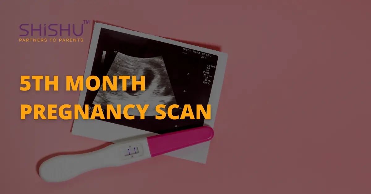 5Th Month Pregnancy Scan-MyShishu