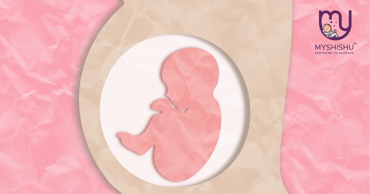 Week 3 of Pregnancy: Baby Development and Growth - MyShishu