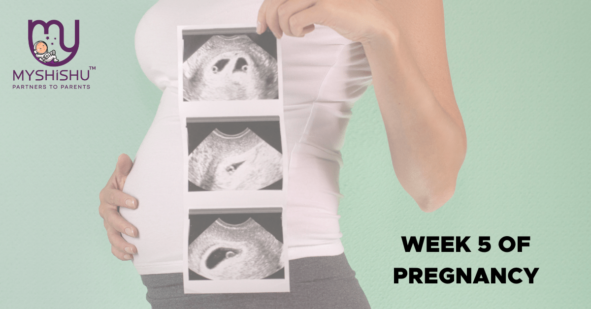 Week 5 of Pregnancy: Symptoms, Changes and Care Tips - MyShishu