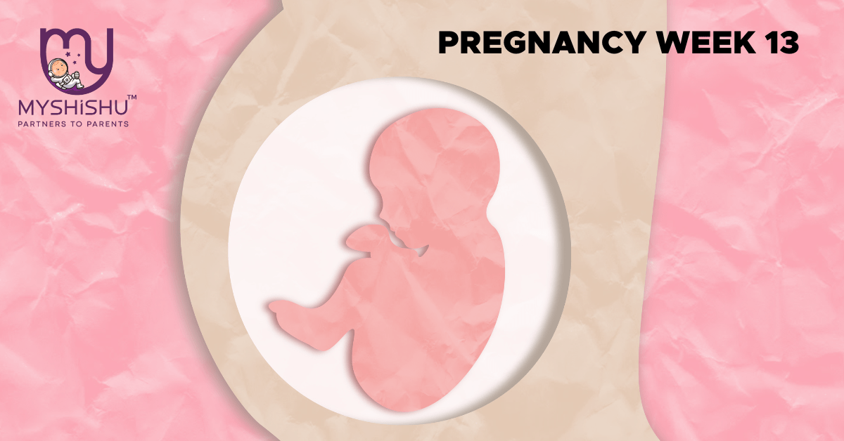 Pregnancy Week 13: Entering the Second Trimester and What It Means for ...