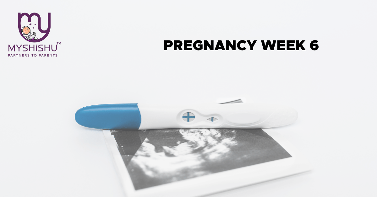 Pregnancy Week 6: Your Baby's Development - MyShishu